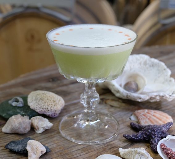 Psychedelic Jellyfish Absinthe - Red Eyed Medusa | Tofino Distillery